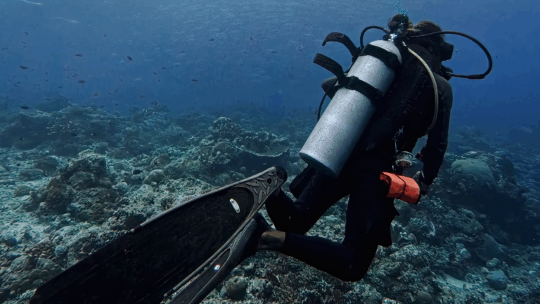 7 Essentials- Plan Your First Scuba Diving Holiday In Borneo